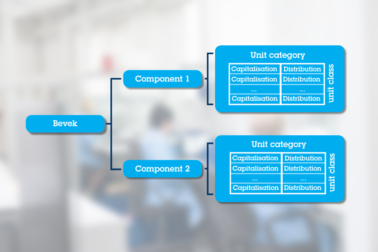 What is a BEVEK/SICAV? - KBC Brussels Bank & Insurance